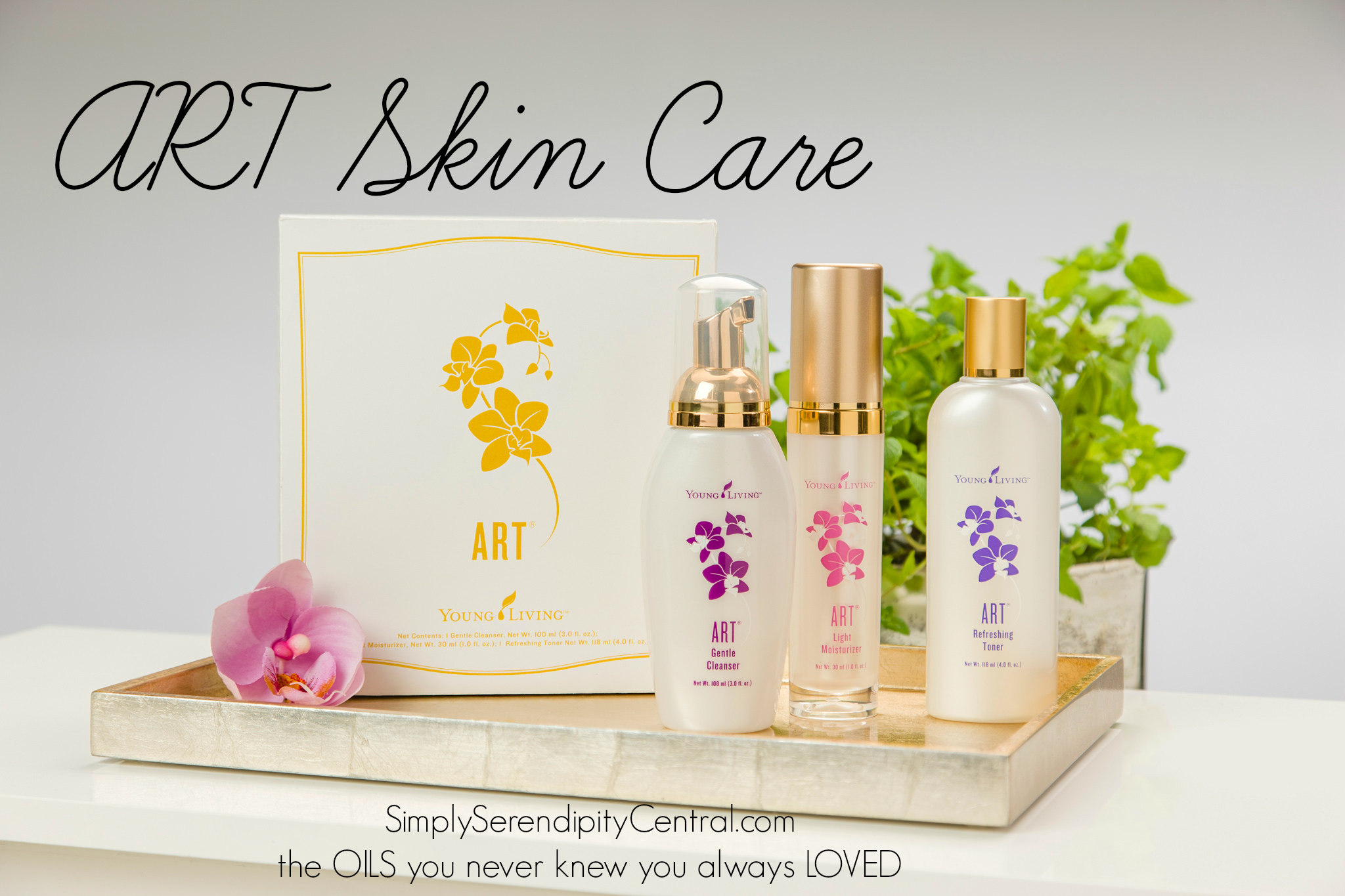 ART Skin Care Line | S I M P L Y :: the wellness place